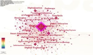 The Current State of Digital Literacy Research in China: A Literature ...